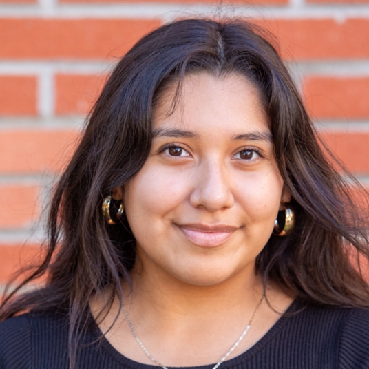 The Outsiders at Academy of Music and Performing Arts at Hamilton High ...