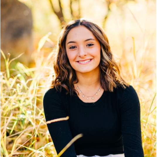 Into the Woods at Aspen High School - Performances April 21, 2022 to ...