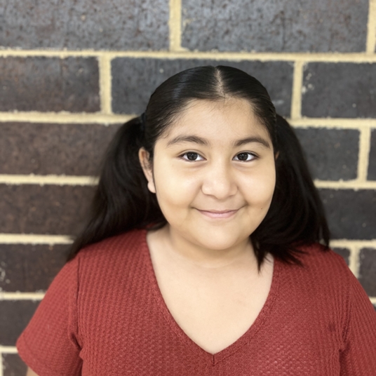 Shrek The Musical Jr at Cicero Public School District 99 - Performances ...