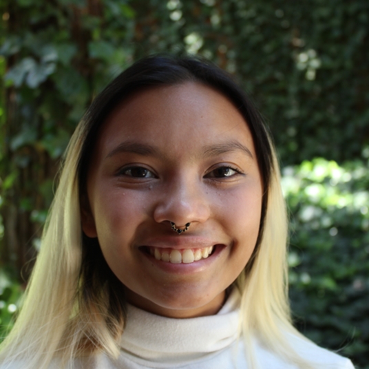 Emergence at Diablo Valley College - Performances May 14, 2022 to May ...