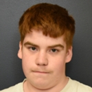 Roustabout: The Great Circus Trainwreck at Hobart High School ...