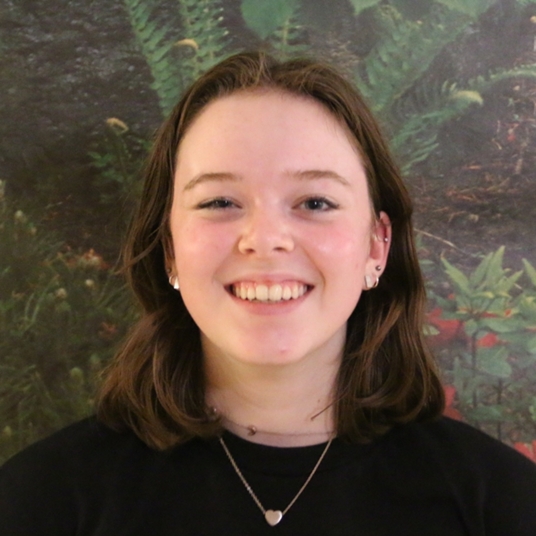 The Crucible at Monte Vista High School - Performances November 4, 2021 ...