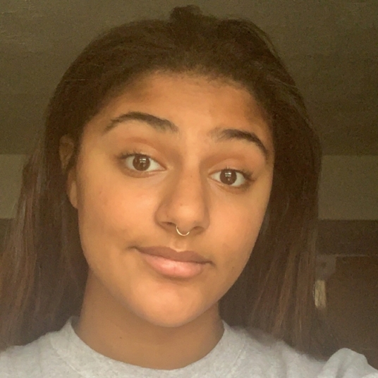 The Hound of the Baskervilles: A Comic Thriller Starring Shirley Holmes ...