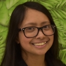 Shrek The Musical at Sayreville War Memorial High School Theatre ...