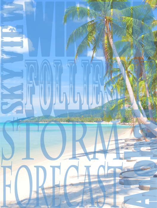 Aloha Concert at Skyview High School - Performances June 2, 2016 - Cover