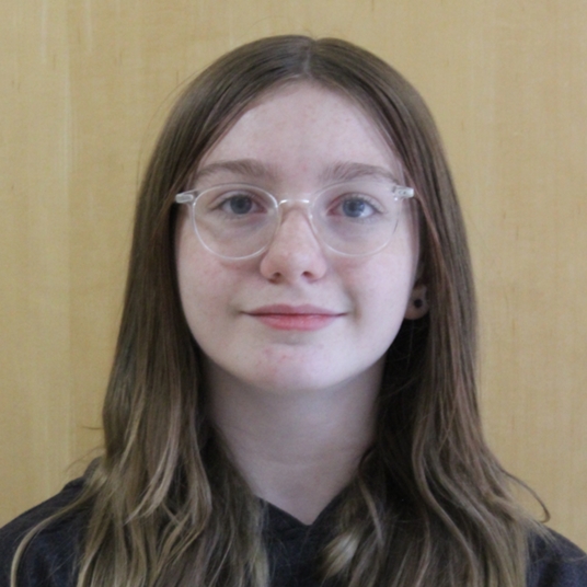 Bye Bye Birdie Young Performers Edition at Spring Hill Middle school ...