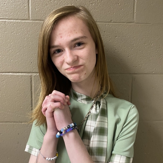 Bye Bye Birdie Young Performers Edition at Spring Hill Middle school ...
